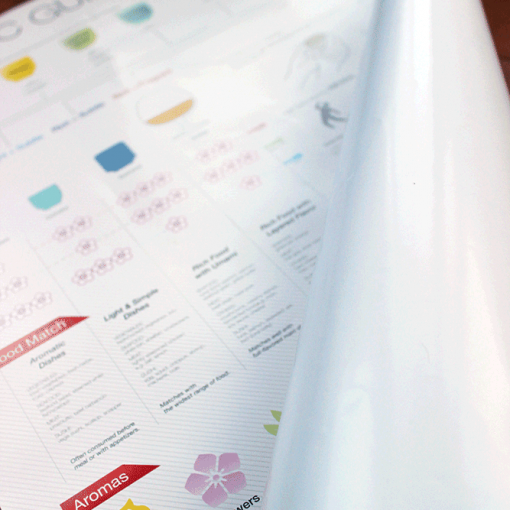 Sake Poster of Basic Guide - SAKETALK Shop